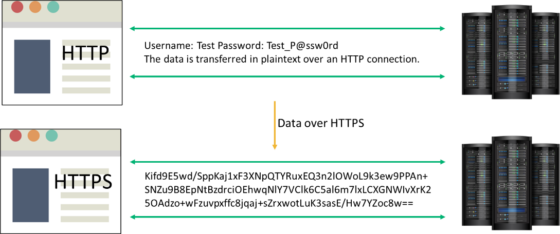 Port 443 — Everything You Need to Know About HTTPS 443 - InfoSec Insights