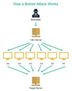 Botnet Attacks: What Is a Botnet & How Does It Work? - InfoSec Insights