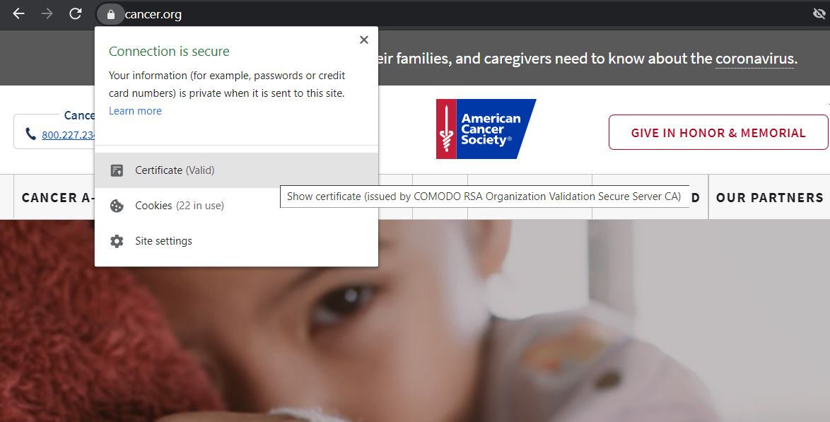 What Is a Certificate Authority? Certification Authorities Explained ...