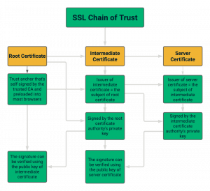 What Is an SSL Certificate Chain & How Does It Work? - InfoSec Insights
