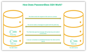 What Is Passwordless SSH? A Look at SSH Passwordless Authentication - InfoSec Insights