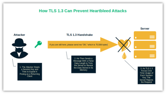 What Is Transport Layer Security? A Breakdown of the Secure TLS ...