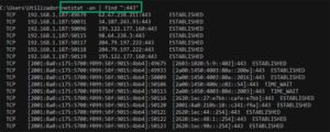 How to Open 443 Port and Check If It Is Enabled or Not - InfoSec Insights