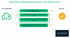 A Guide to PKI Authentication with 8 Examples - InfoSec Insights