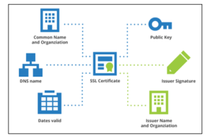 What Is SSL Server Certificate and How Does It Protect Websites?